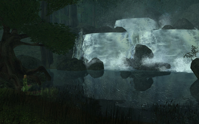 The Old Forest
